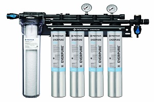 Why Choose Everpure Water Systems For Your Home? DigiTech Worlds